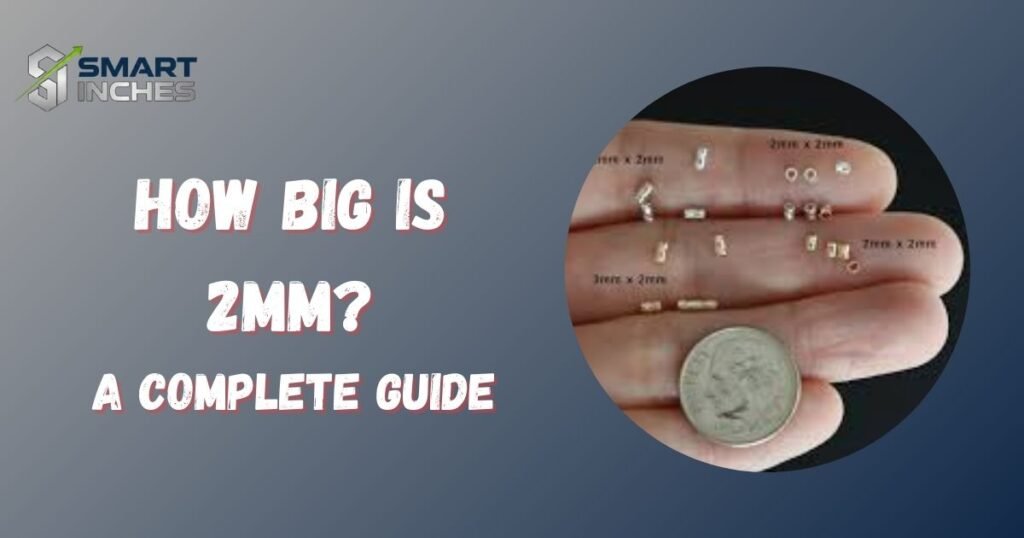 How Big Is 2mm? 9 Most Common Things That Are 2mm In Size