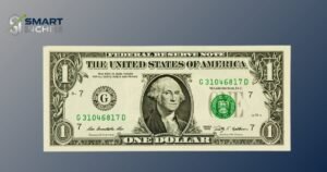 Dollar Bill Dimensions: Complete Guide With Facts & Examples
